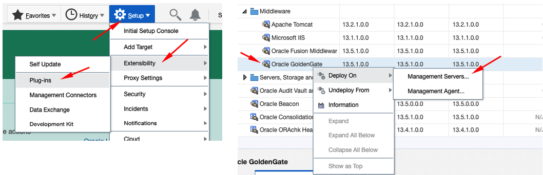 Monitor Oracle Goldengate With Oracle Enterprise Manager Data Engineering